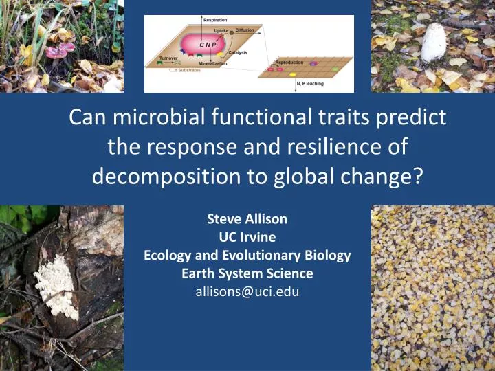 PPT - Can microbial functional traits predict the response and ...