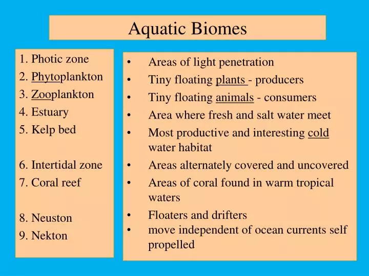 PPT - Aquatic Biomes PowerPoint Presentation, free download - ID:1431525