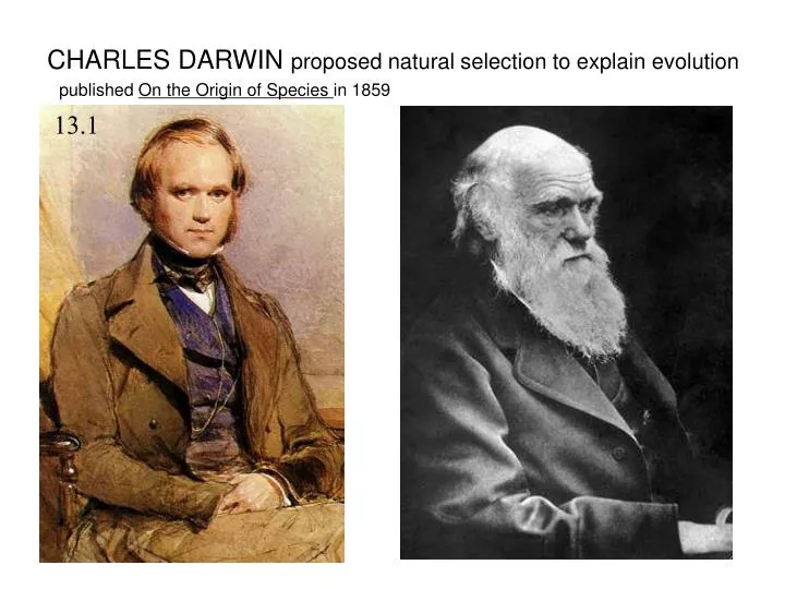 PPT - CHARLES DARWIN proposed natural selection to explain evolution ...