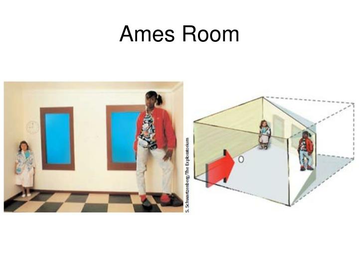 PPT - Perception PowerPoint Presentation - ID:1432134