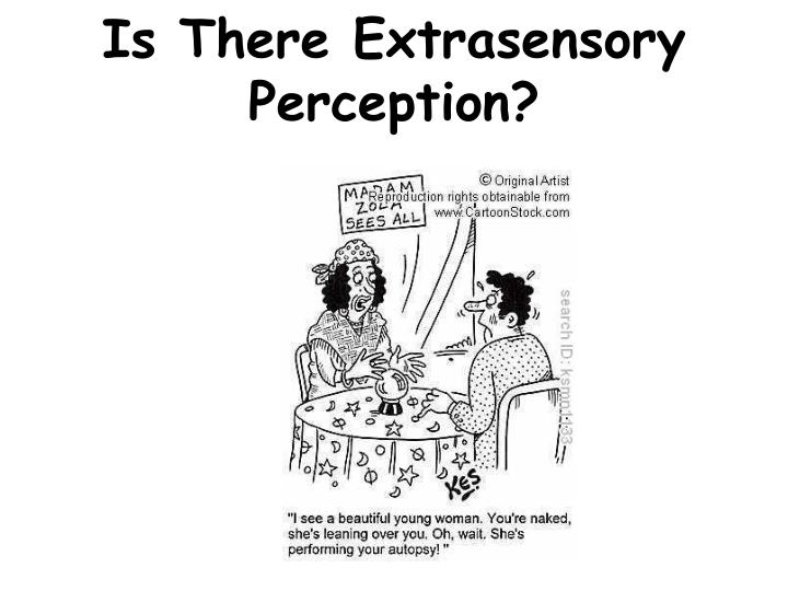 PPT - Perception PowerPoint Presentation - ID:1432134