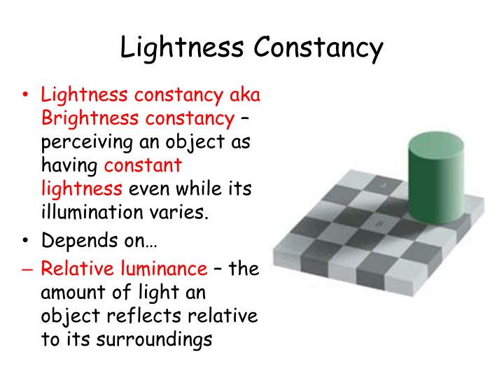 PPT - Perception PowerPoint Presentation - ID:1432134