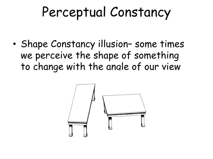 PPT - Perception PowerPoint Presentation - ID:1432134