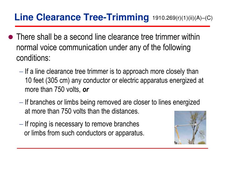 PPT - Arboriculture Safety PowerPoint Presentation - ID:1432278