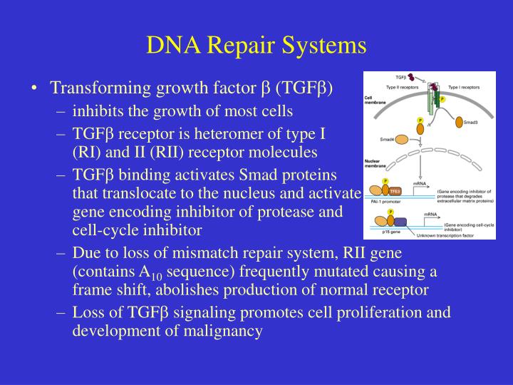PPT - Medical Biochemistry PowerPoint Presentation - ID:1432503