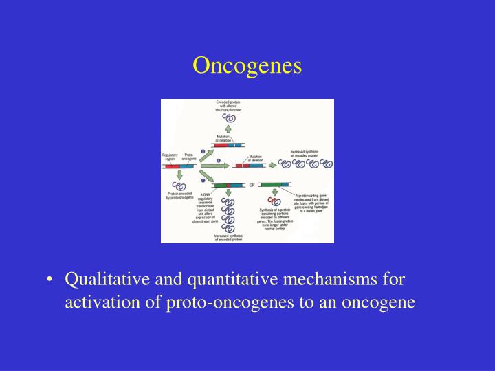 PPT - Medical Biochemistry PowerPoint Presentation - ID:1432503