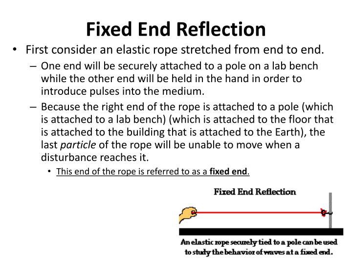 PPT - Introduction to Waves: Transverse and Longitudinal PowerPoint ...