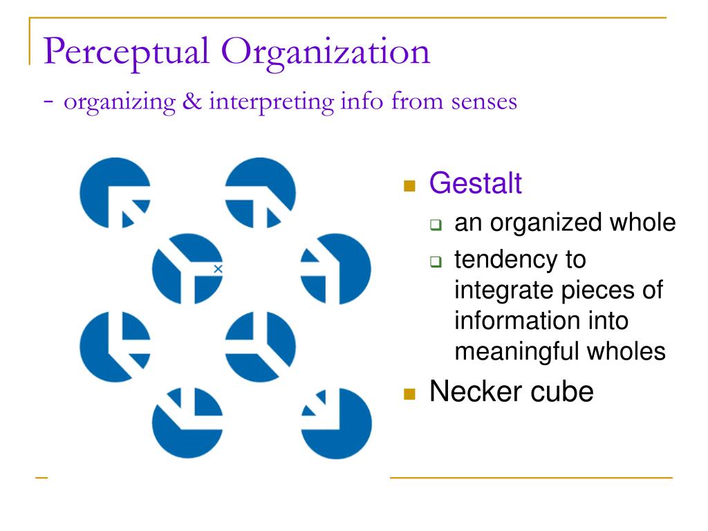 PPT - Sensation & Perception Chapter 5 PowerPoint Presentation - ID:1433285 PPT - Sensation & Perception Chapter 5 PowerPoint Presentation - ID:1433285