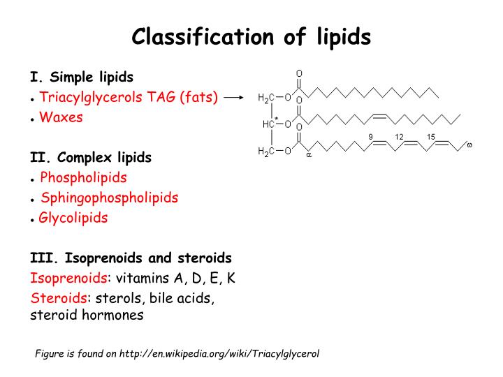 PPT - Lipid metabolism PowerPoint Presentation - ID:1433802