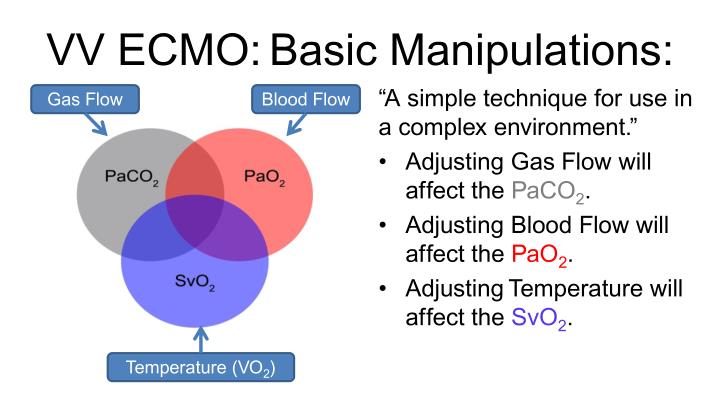 PPT - Simulating ECMO. PowerPoint Presentation - ID:1433805