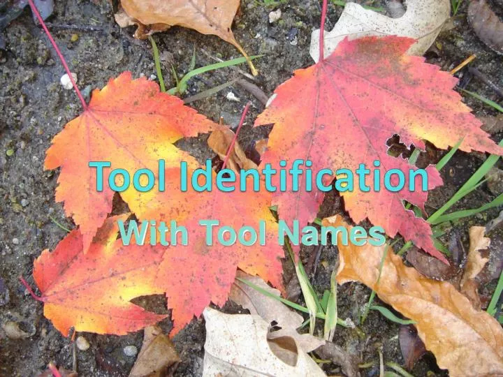PPT - Tool Identification PowerPoint Presentation, free download - ID ...