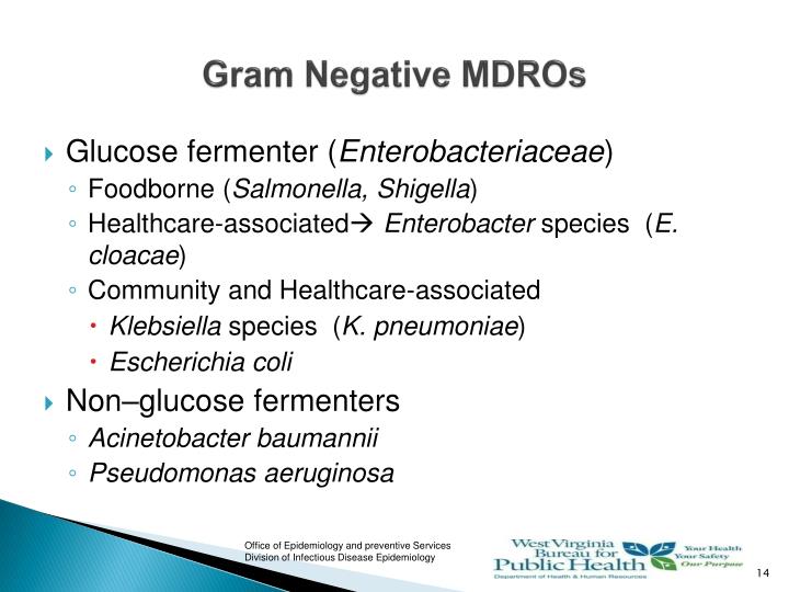 PPT - MDROs 101 Multidrug-Resistant Organisms PowerPoint Presentation ...