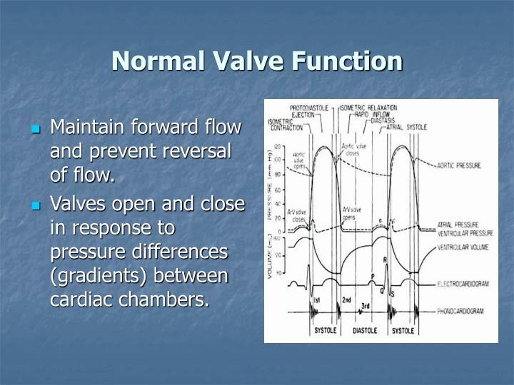 PPT - Valvular Heart Disease PowerPoint Presentation - ID:143464