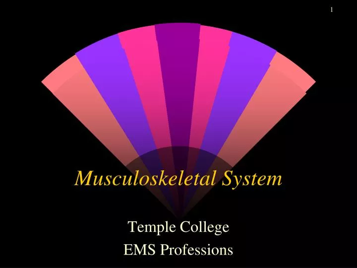 PPT - Musculoskeletal System PowerPoint Presentation, free download ...