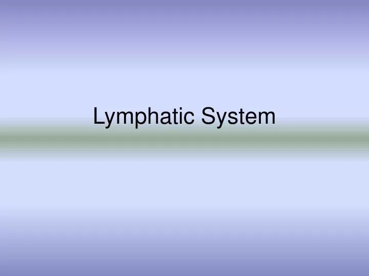 PPT - Lymphatic System PowerPoint Presentation, free download - ID:1434844
