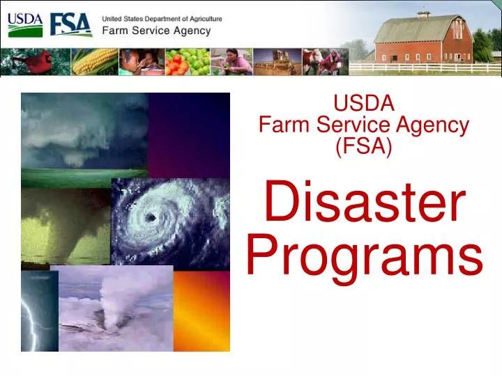 PPT - USDA Farm Service Agency (FSA) Disaster Programs PowerPoint ...