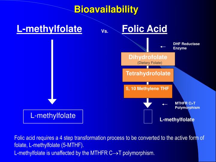 PPT - Hot Topics in Nutrition for the Primary Care Physician PowerPoint ...