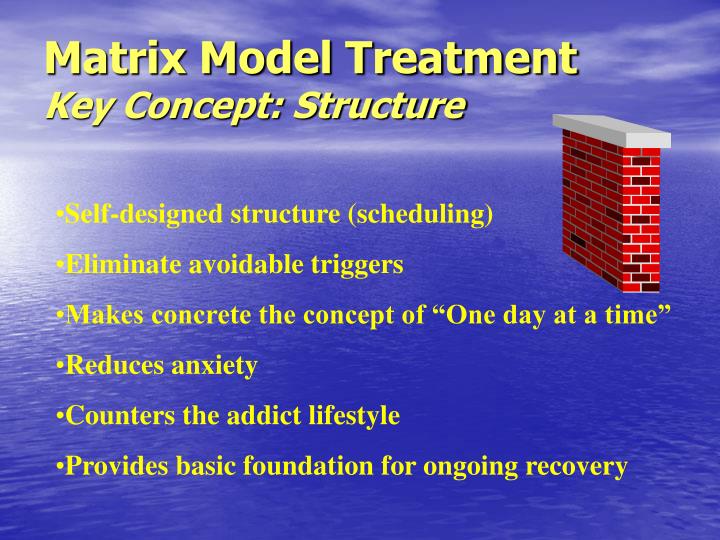 PPT - Meth Summit PowerPoint Presentation - ID:1436000