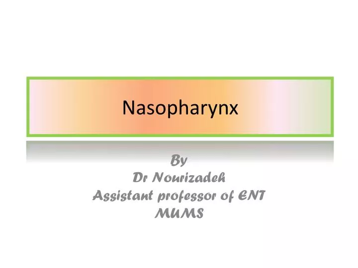 PPT - Nasopharynx PowerPoint Presentation, free download - ID:143833