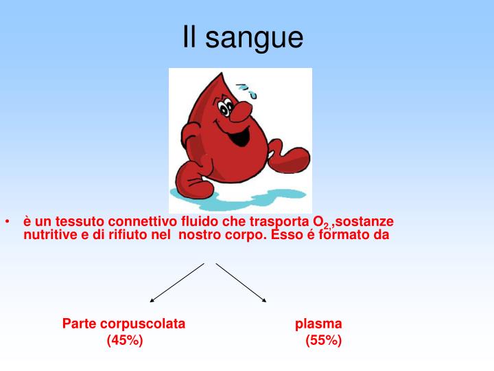 PPT - Apparato Circolatorio PowerPoint Presentation - ID:1438507