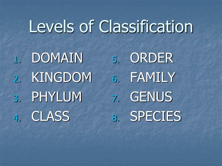 PPT - CLASSIFICATION PowerPoint Presentation - ID:1439147