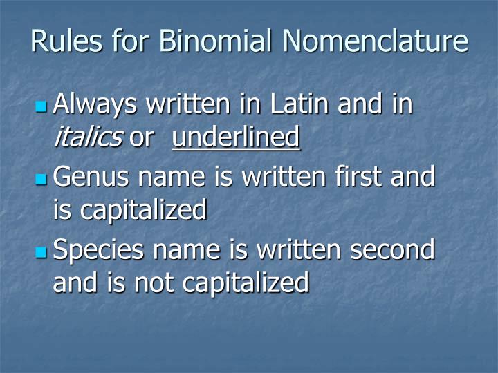 PPT - CLASSIFICATION PowerPoint Presentation - ID:1439147