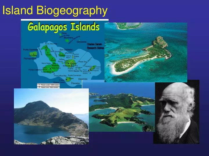 PPT - Island Biogeography PowerPoint Presentation, free download - ID ...