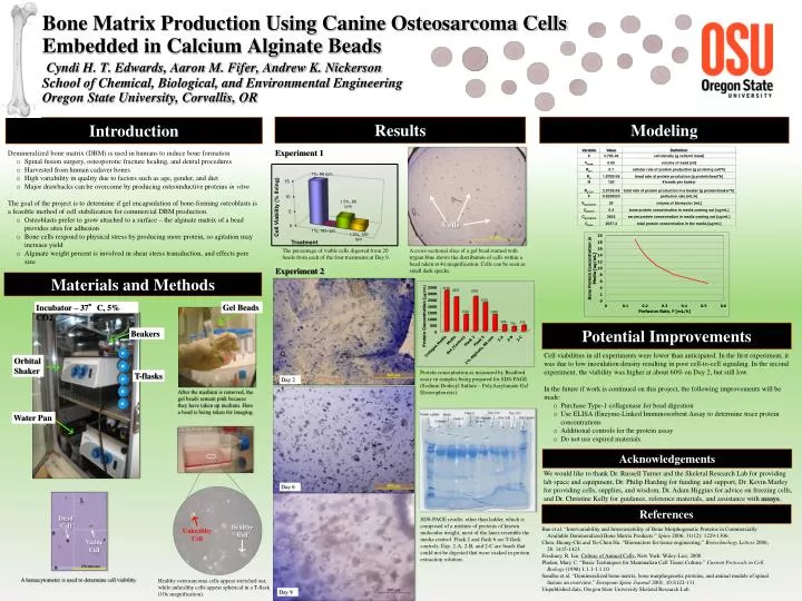 PPT - Demineralized bone matrix (DBM) is used in humans to induce bone ...