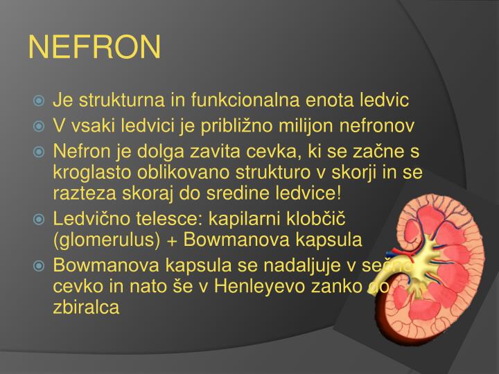 PPT - IZLOČALA PowerPoint Presentation - ID:1439462