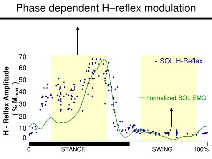 PPT - H-reflex Methods and Significance PowerPoint Presentation - ID ...