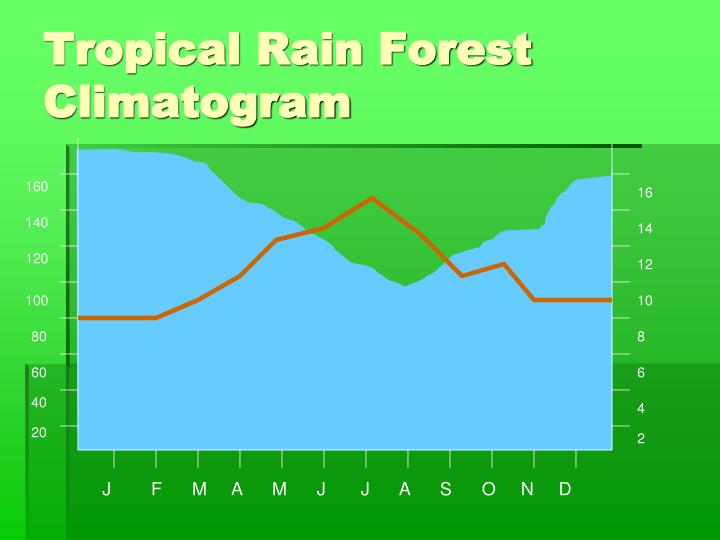 PPT - Tropical Rain Forest PowerPoint Presentation - ID:1441566