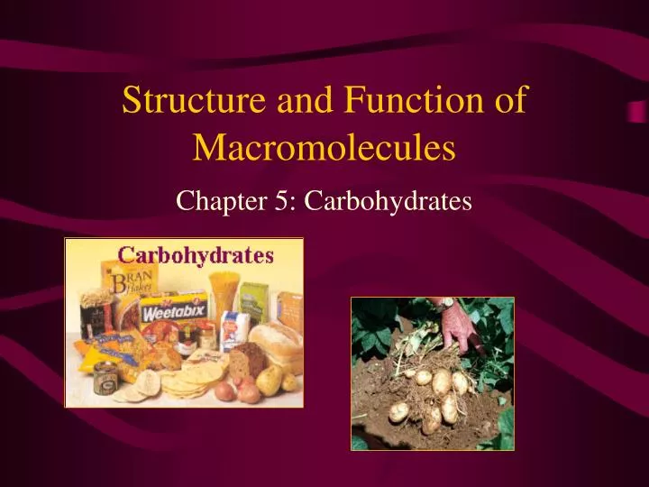 PPT - Structure and Function of Macromolecules PowerPoint Presentation ...
