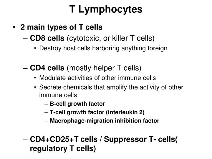 PPT - T LYMPHOCYTES PowerPoint Presentation - ID:1442085
