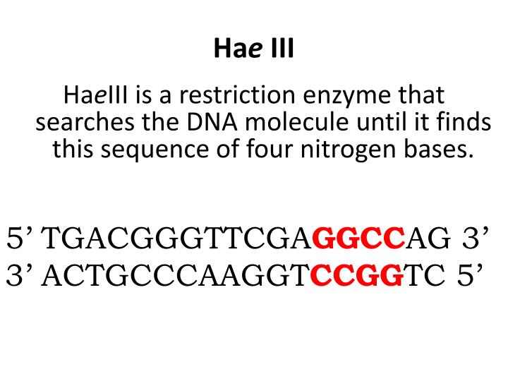 PPT - Restriction Enzymes PowerPoint Presentation - ID:1443065