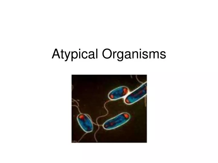 PPT - Atypical Organisms PowerPoint Presentation, free download - ID ...