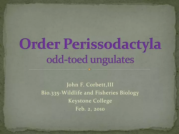 PPT - Order Perissodactyla odd-toed ungulates PowerPoint Presentation ...
