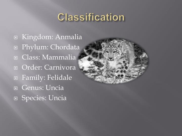 PPT - Kami PowerPoint Presentation - ID:1444323