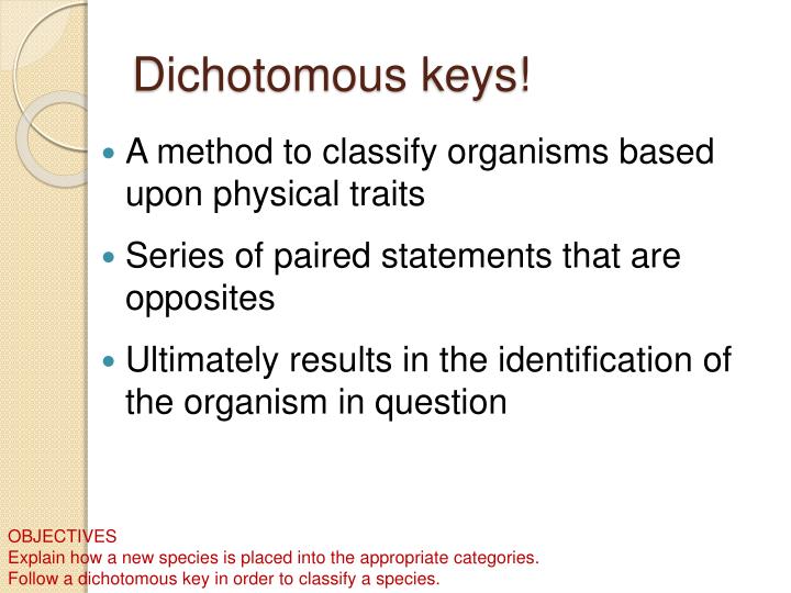 PPT - Kami PowerPoint Presentation - ID:1444323