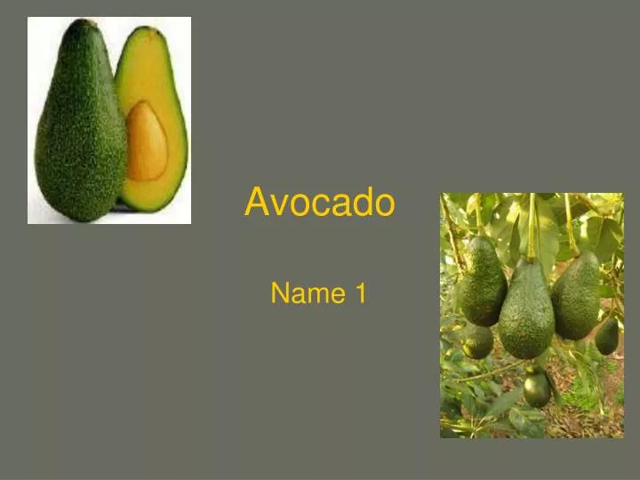 PPT - Avocado PowerPoint Presentation, free download - ID:1444345