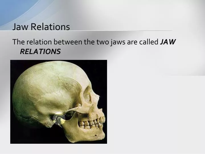 PPT - Jaw Relations PowerPoint Presentation, free download - ID:1444593