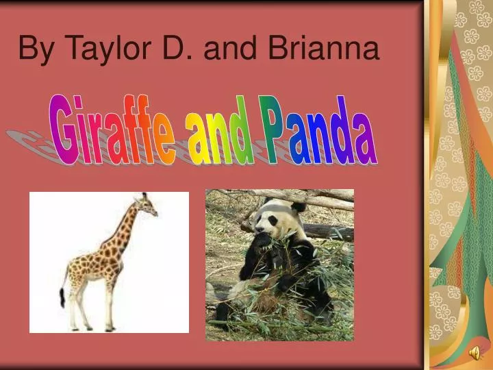 PPT - Giraffe and Panda PowerPoint Presentation, free download - ID:1444664
