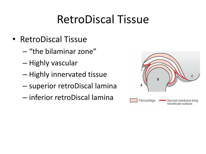 PPT - Management of TMJ disorders PowerPoint Presentation - ID:1444815