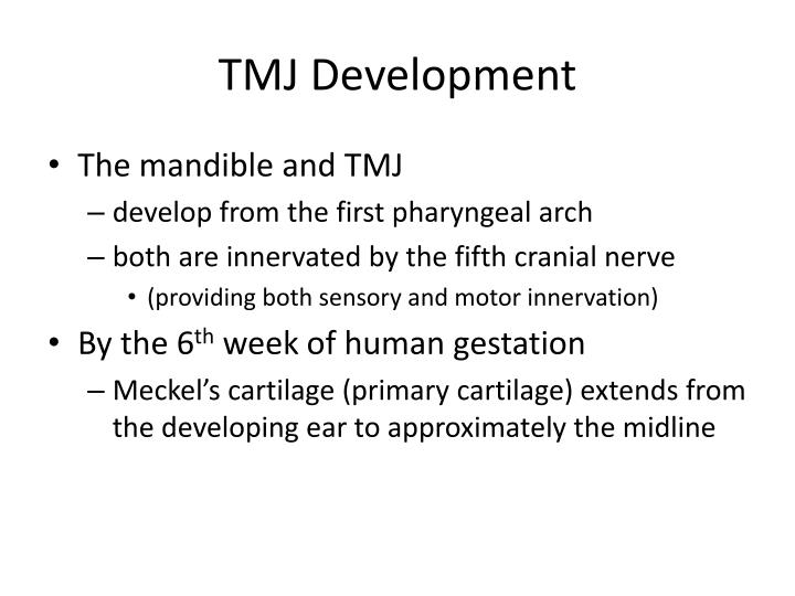 PPT - Management of TMJ disorders PowerPoint Presentation - ID:1444815