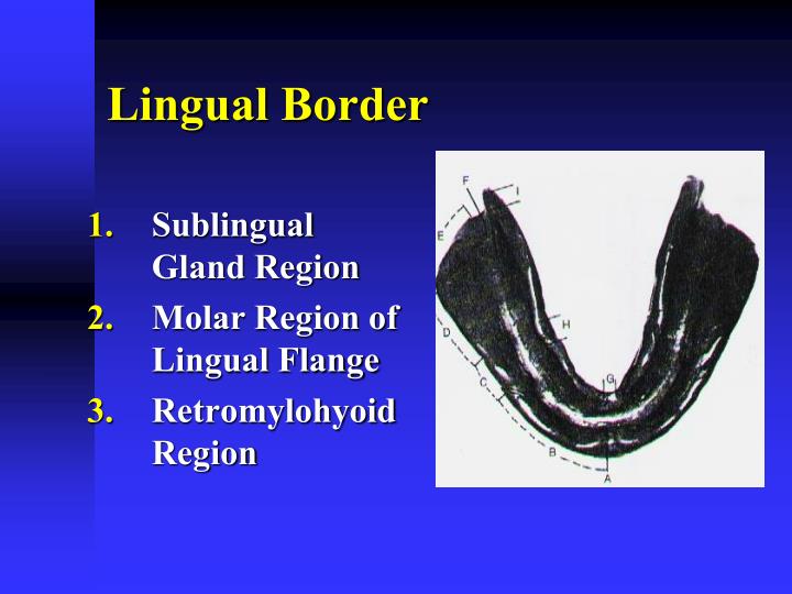 PPT - Anatomy of Mandibular Denture Bearing Area PowerPoint ...