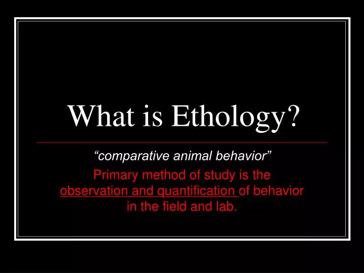 PPT - What is Ethology? PowerPoint Presentation, free download - ID:1444906