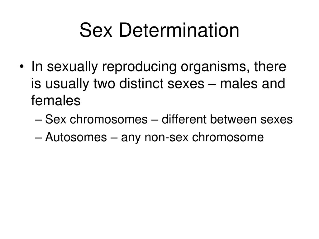 Ppt Chapter 4 Sex Determination And Sex Linked Characteristics