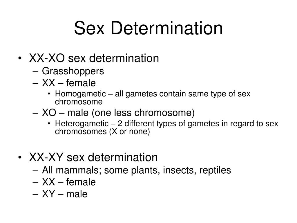 Ppt Chapter 4 Sex Determination And Sex Linked Characteristics