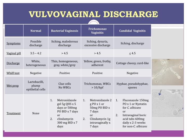 PPT - common gynecological problems in the older woman PowerPoint ...