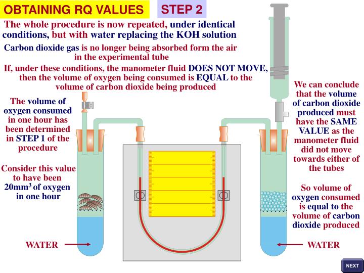 PPT - The Respiratory Quotient or RQ value is a measure of the ratio of ...