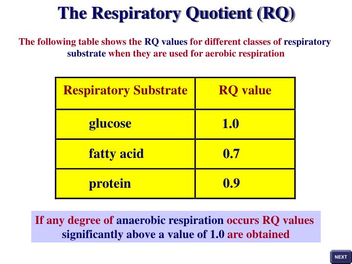 PPT - The Respiratory Quotient or RQ value is a measure of the ratio of ...